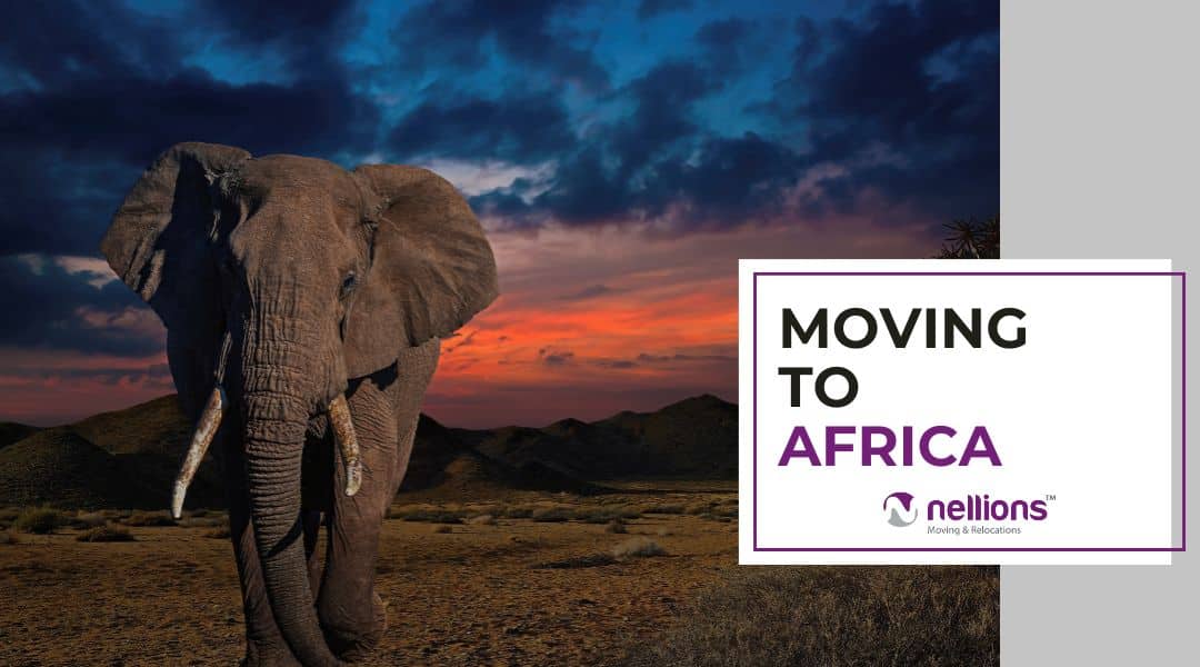 Africa's Calling: Discover the Top 10 International Relocation ...